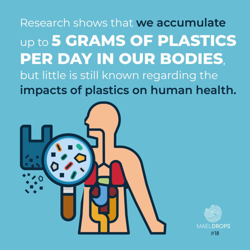 MAELDrop #18 | The effects of plastics on human health - Maelstrom